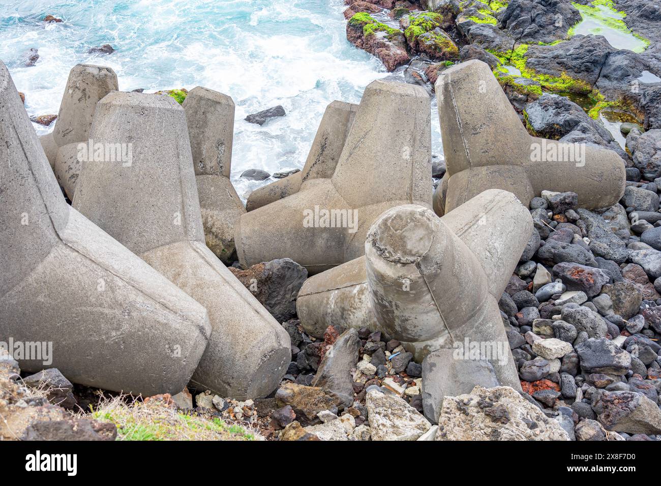 Tetrapod hi-res stock photography and images - Alamy