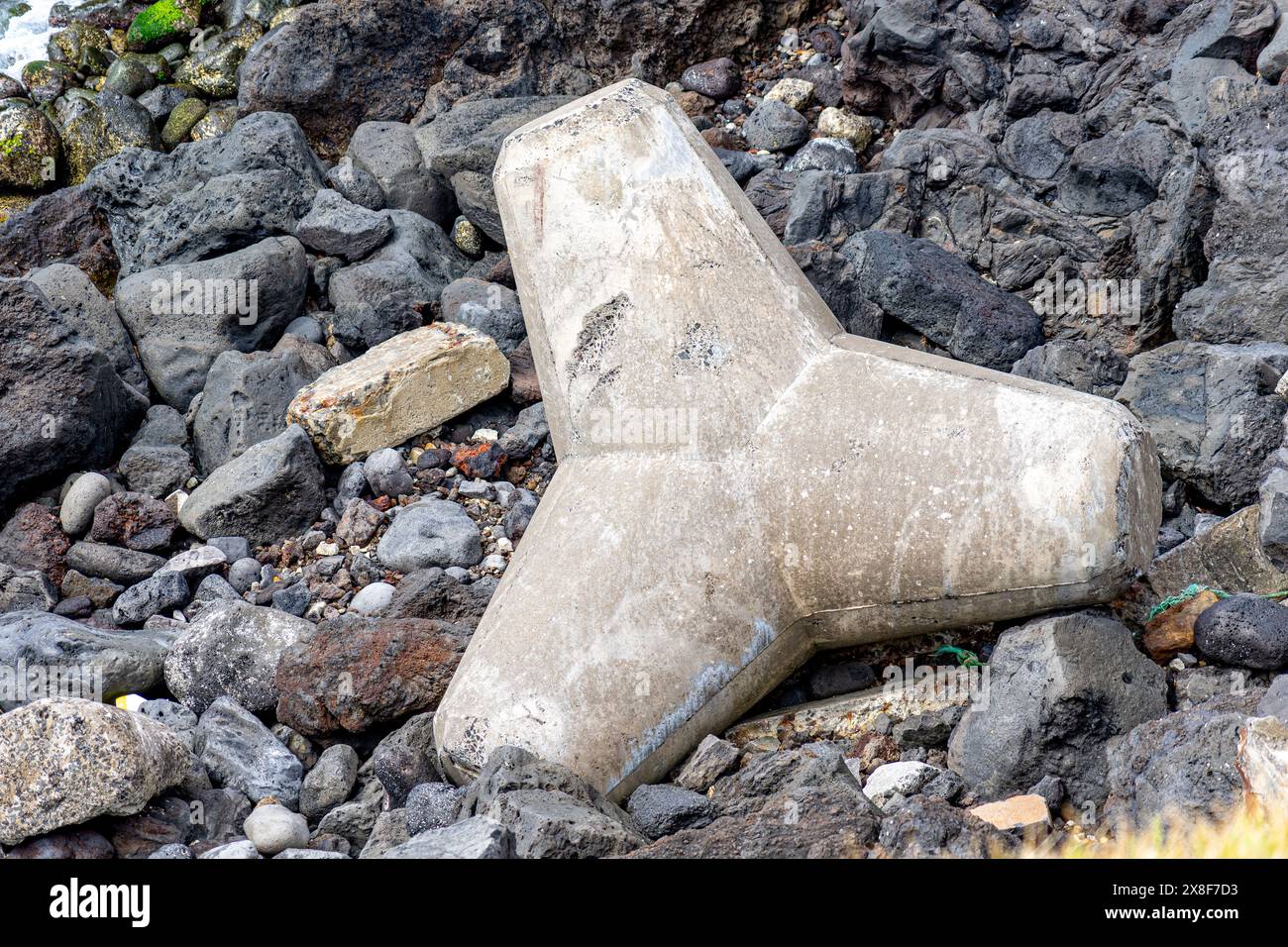 Tetrapod hi-res stock photography and images - Alamy