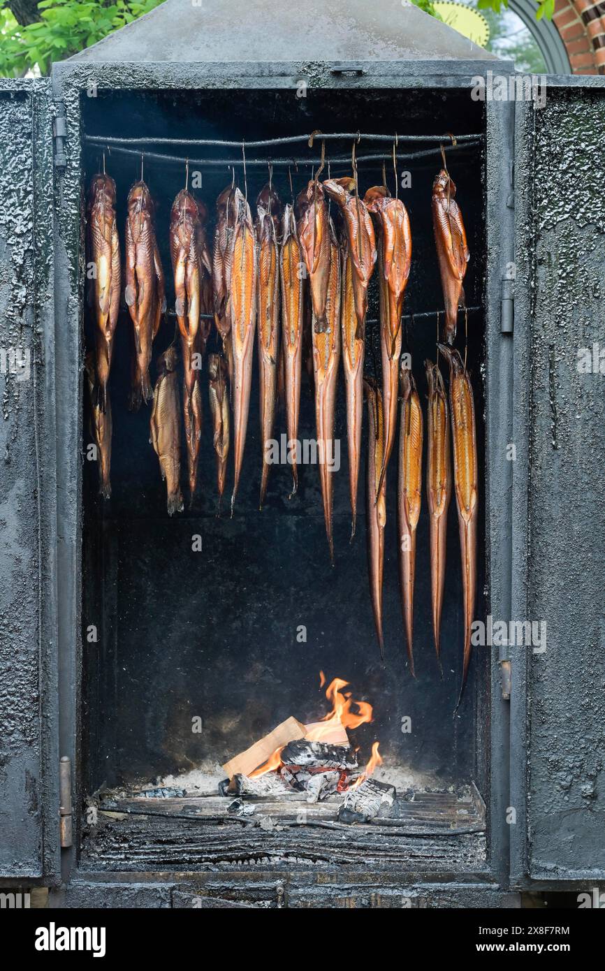 Smoker with fish Stock Photo - Alamy