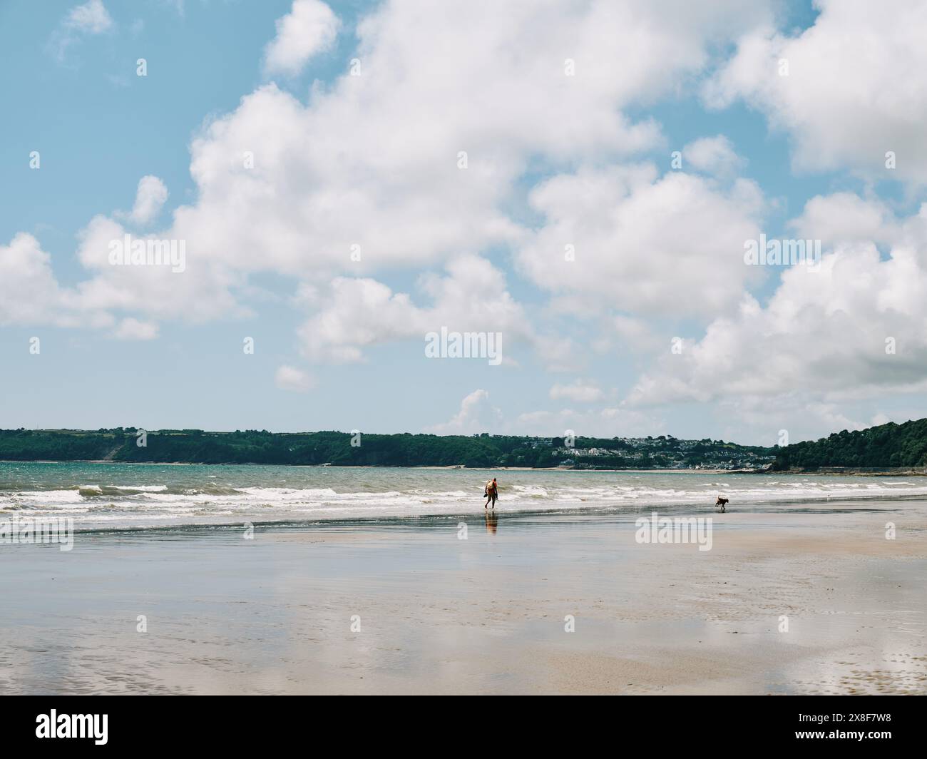 Walking the dog on Amroth Beach in summer Amroth, Carmarthen Bay ...