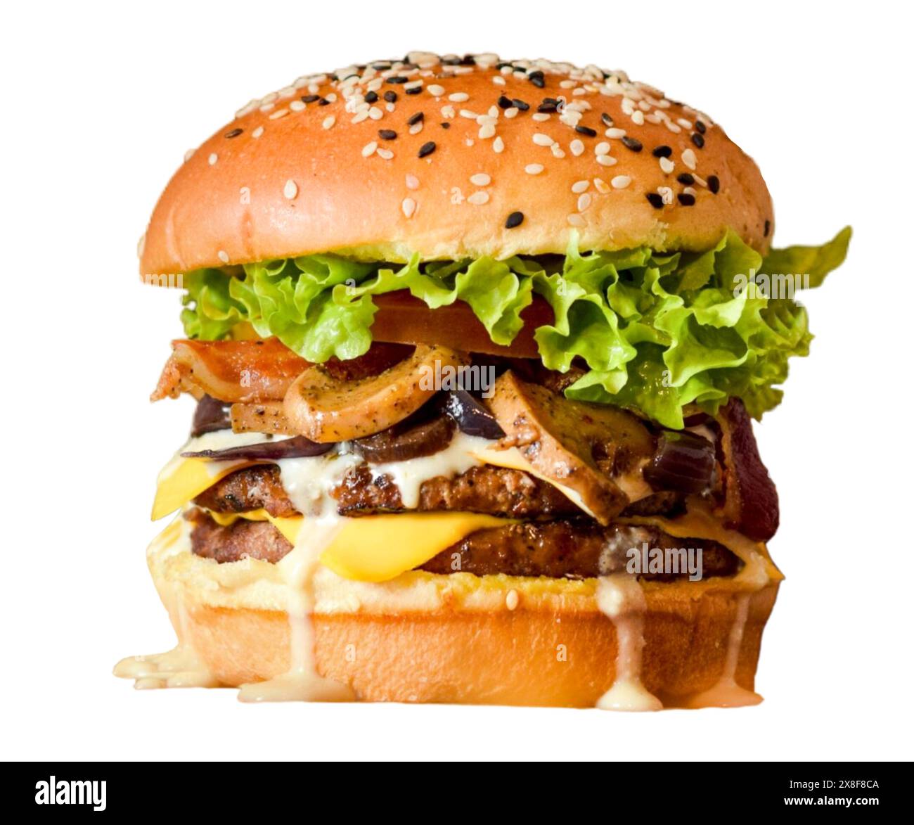 fresh tasty hamburger Classic cheeseburger with beef patty, pickles ...