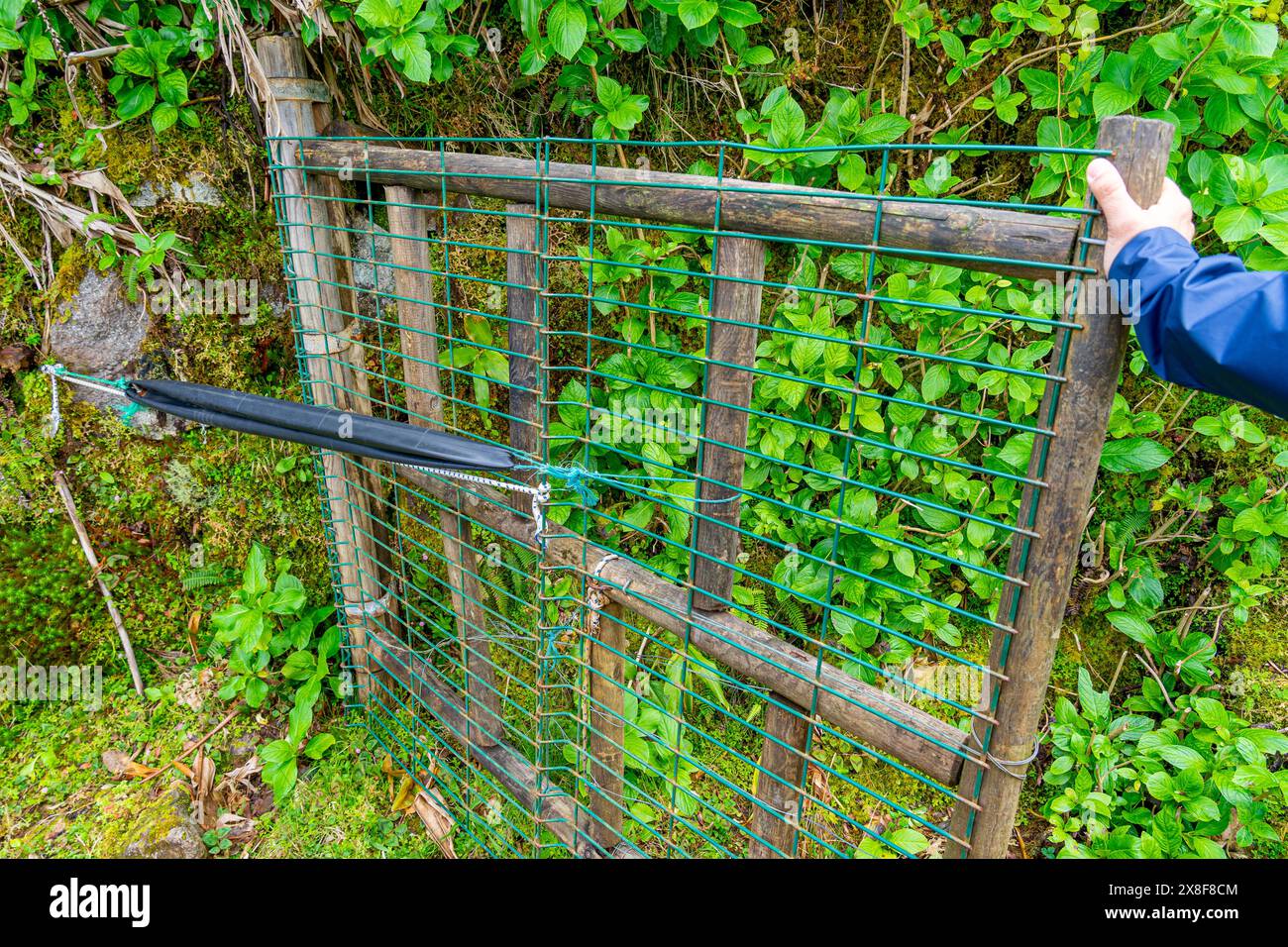 Archaic and rudimentary spring system for closing bicycle air chamber ...