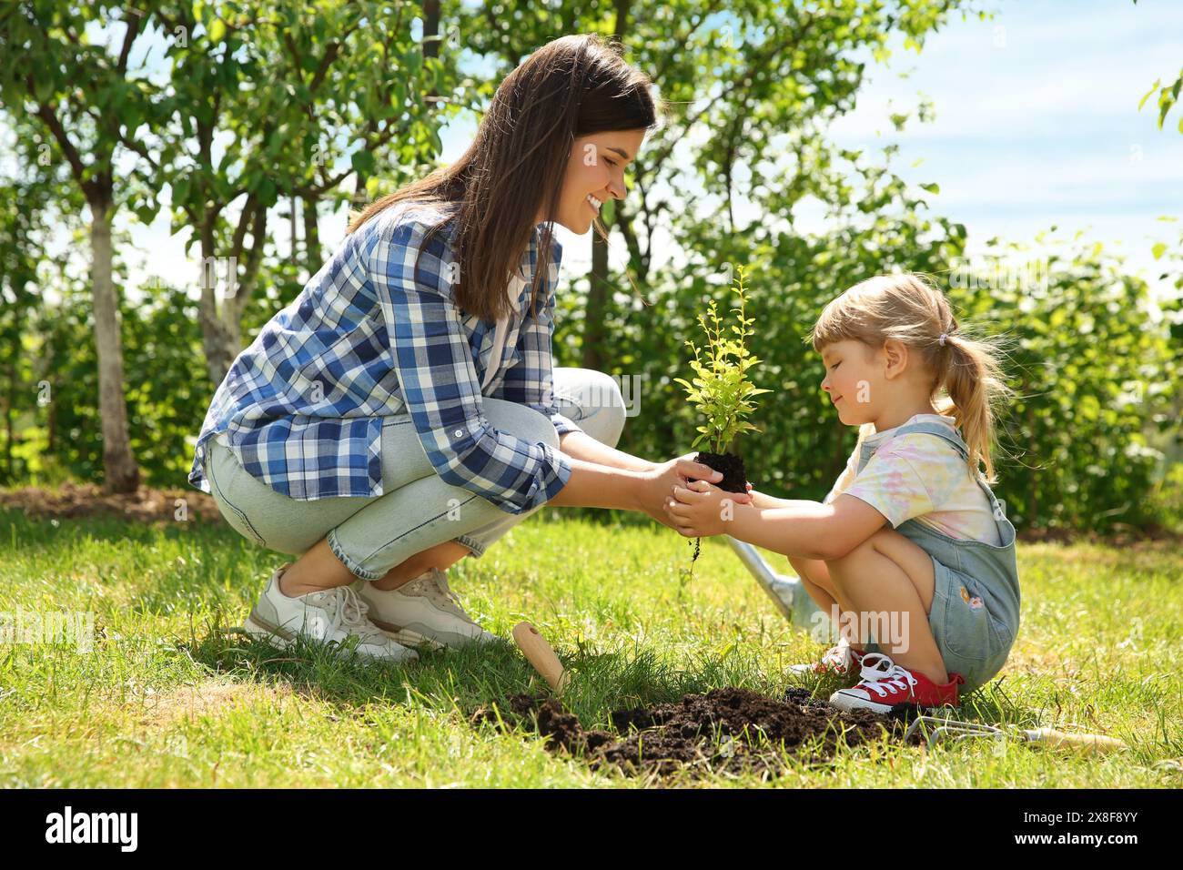 Portrait kid planting tree hi-res stock photography and images - Alamy