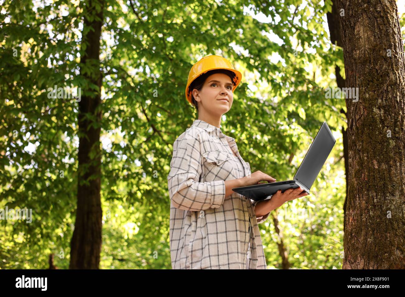 Forester in hard hat with laptop working in forest Stock Photo - Alamy