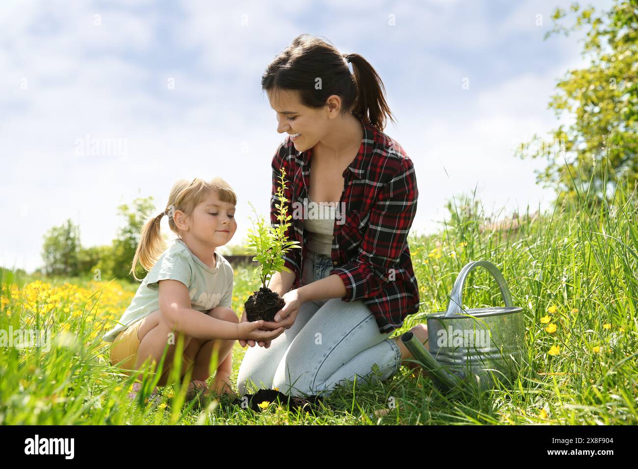 Mother and her daughter planting tree together outdoors Stock Photo - Alamy