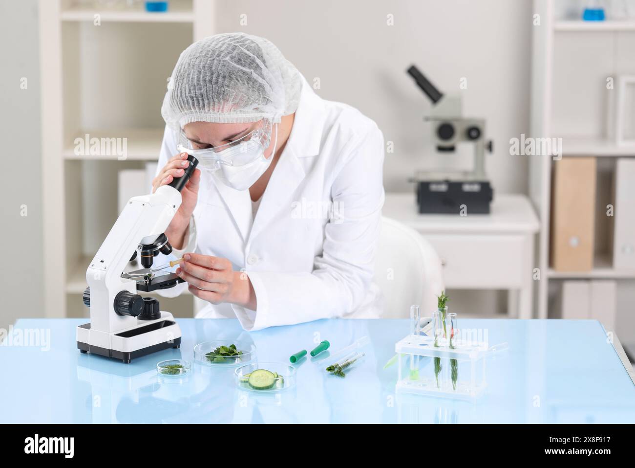 Food safety inspection hi-res stock photography and images - Alamy