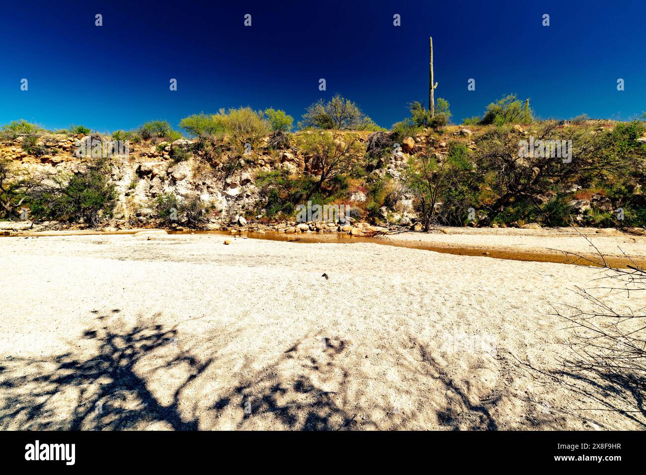The wide open space of the glorious Catalina State Park, Oro Valley ...