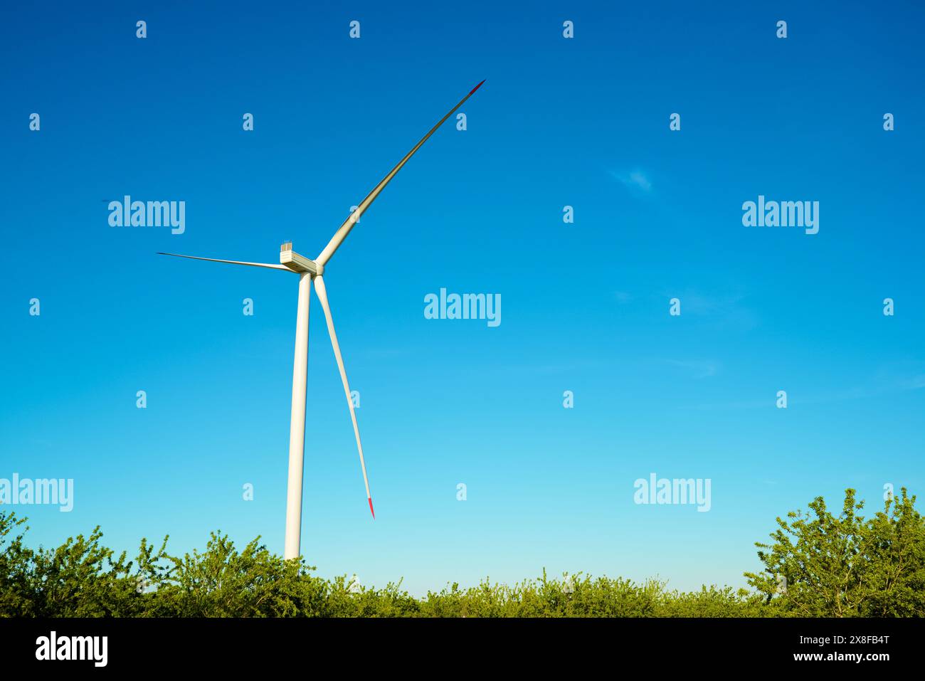 Wind turbine generator for clean electrical energy production and ...