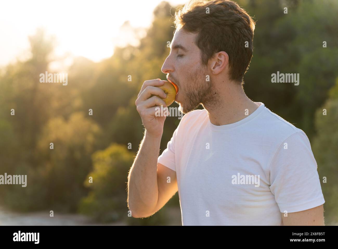 Golden fruit palm hi-res stock photography and images - Alamy