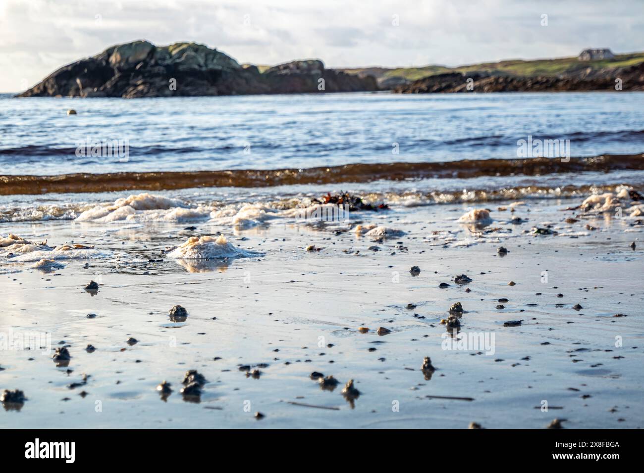 Blow lugworm poo on the west coast of Ireland - Arenicola Marina Stock ...
