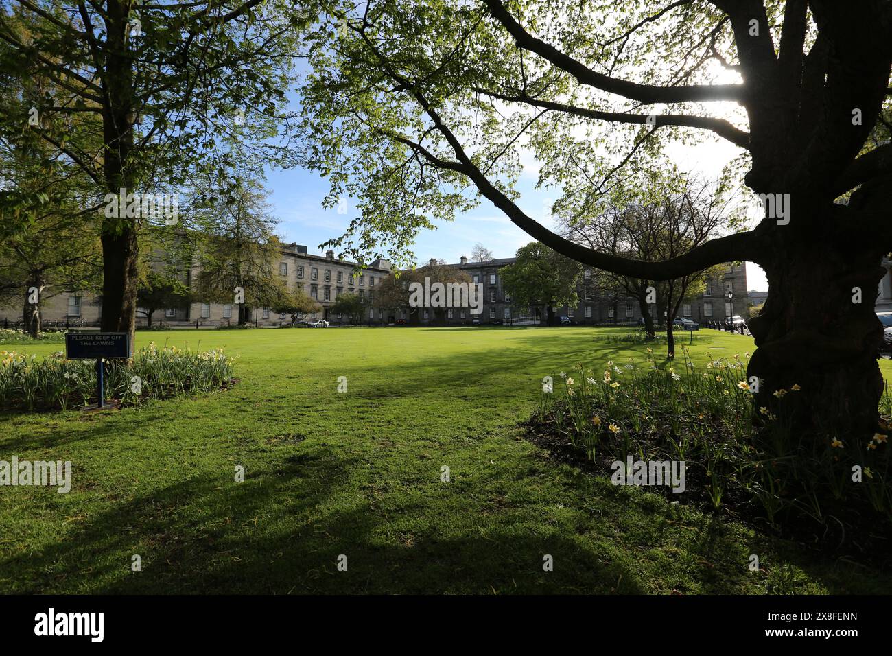 View of the garden at Trinity College Dublin in spring Stock Photo - Alamy