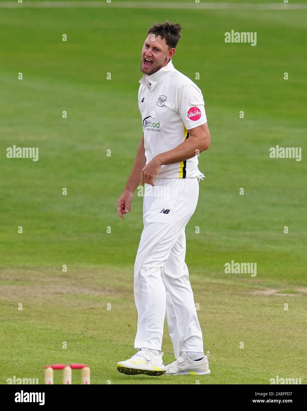 Bristol, UK, 25 May 2024. Gloucestershire's Beau Webster celebrates ...