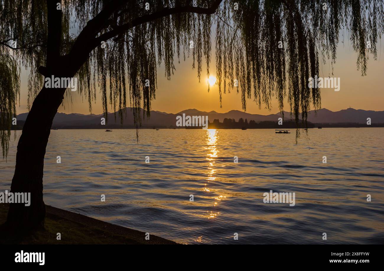 Willow tree on the banks of West lake at sunset in Hangzhou, China ...