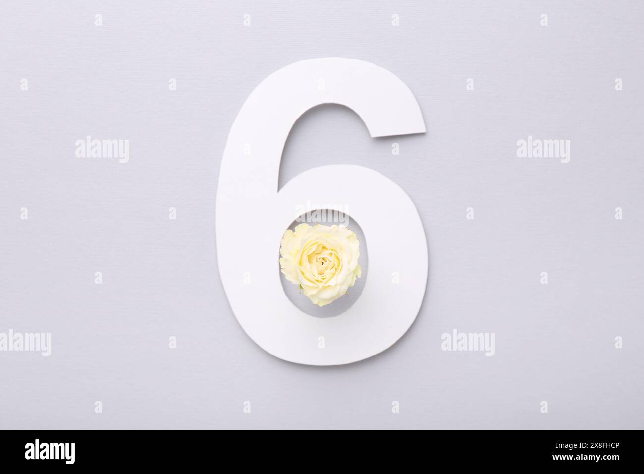 Paper number 6 and beautiful flower on light grey background, top view ...