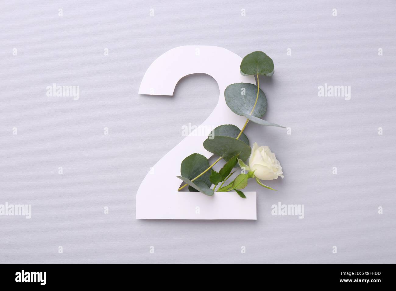 Paper number 2, flower and eucalyptus branch on light grey background ...
