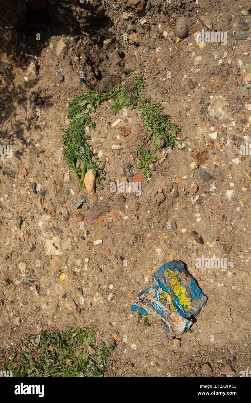 1970s plastic pollution hi-res stock photography and images - Alamy