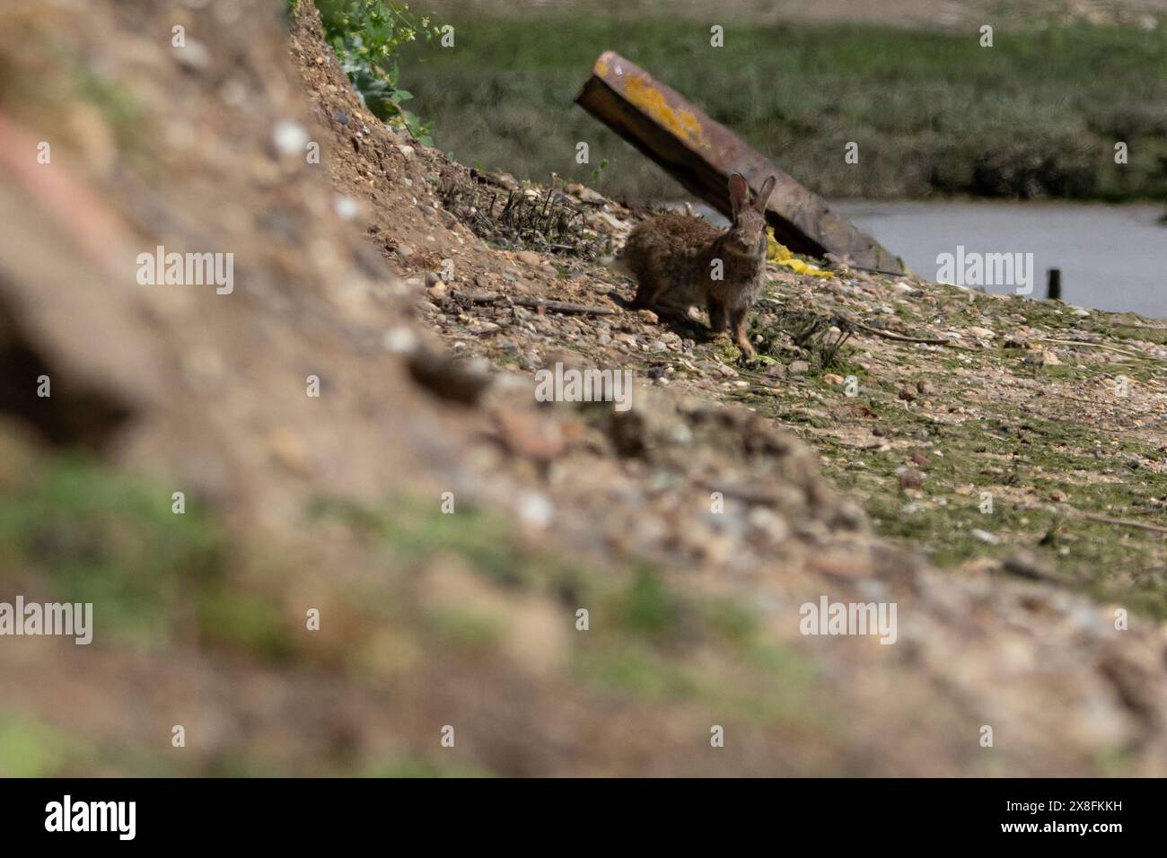 Unearthed rubbish hi-res stock photography and images - Alamy