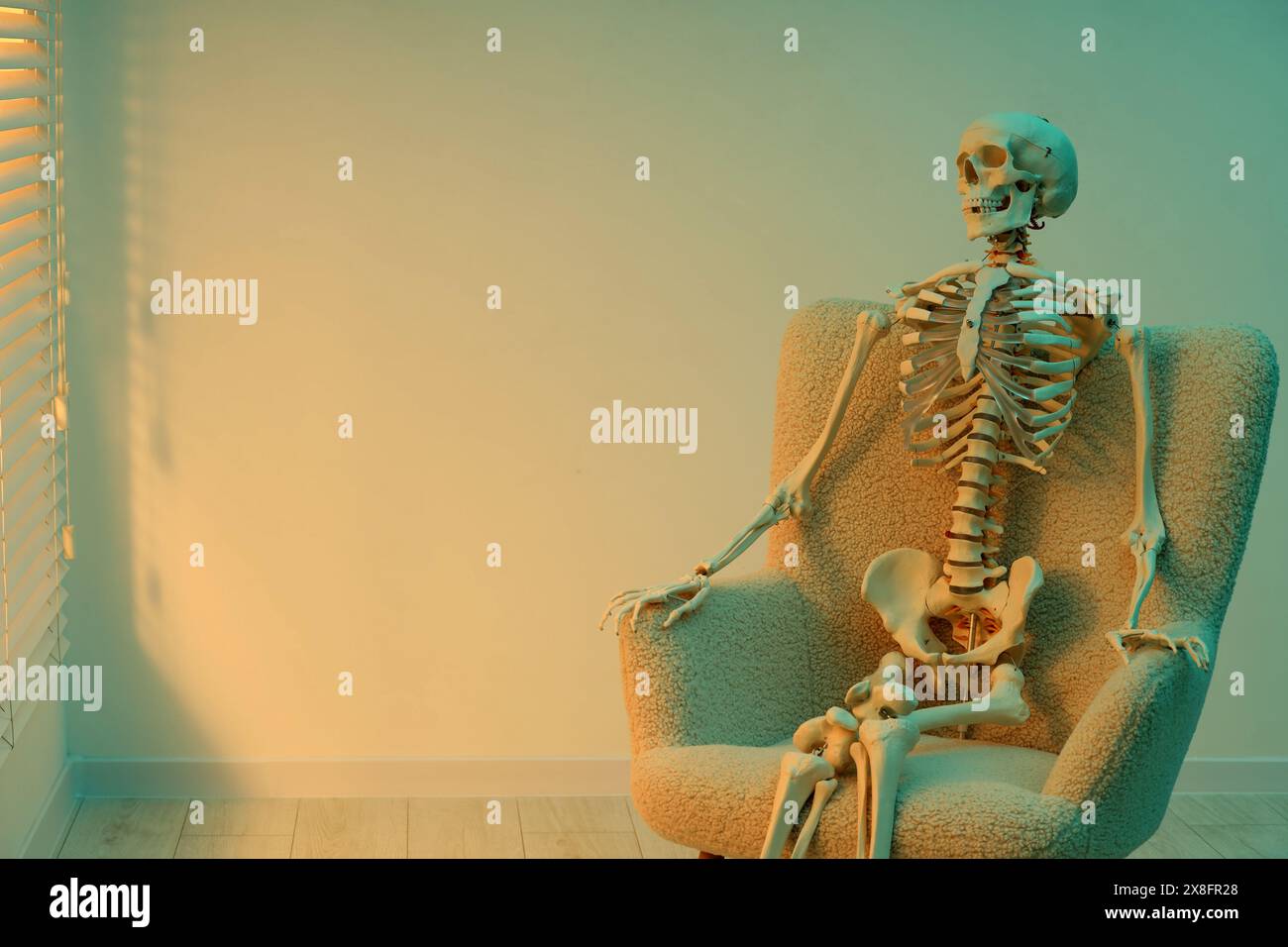 Waiting concept. Human skeleton sitting in armchair indoors, space for ...