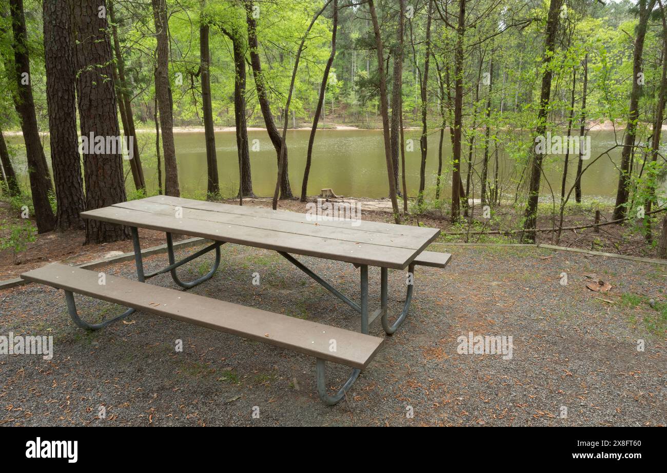 Restful view from an empty picnic bench in a forested camping area ...