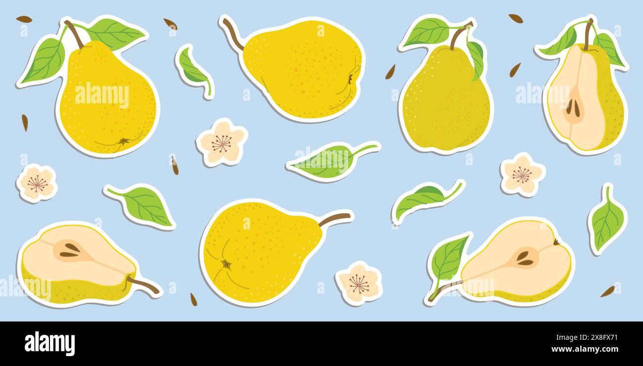 Hand drawn colorful pear stickers set, whole and cut fruit, flowers ...