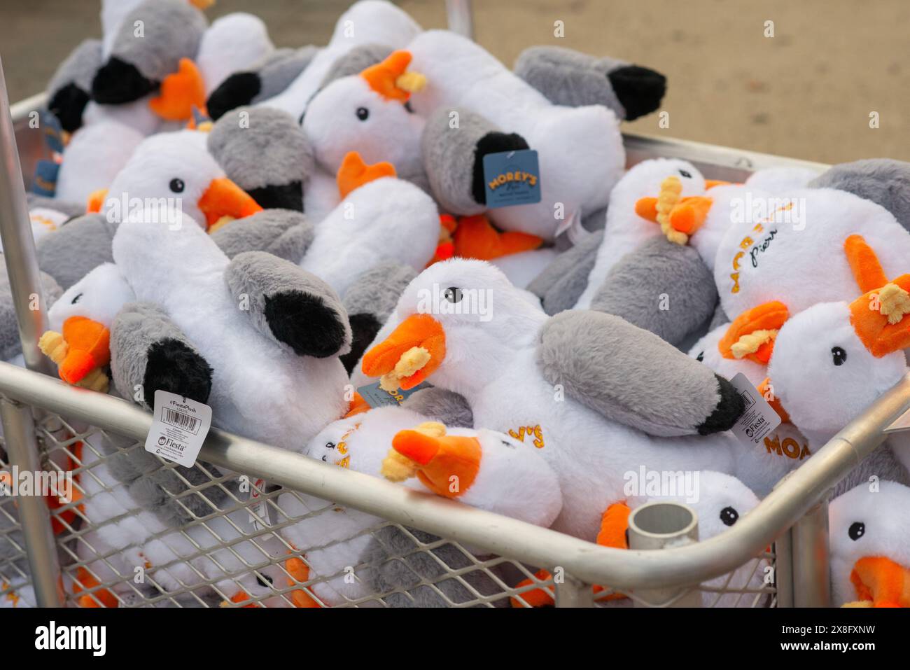 North Wildwood, United States. 24th May, 2024. A beach cart prize is ...