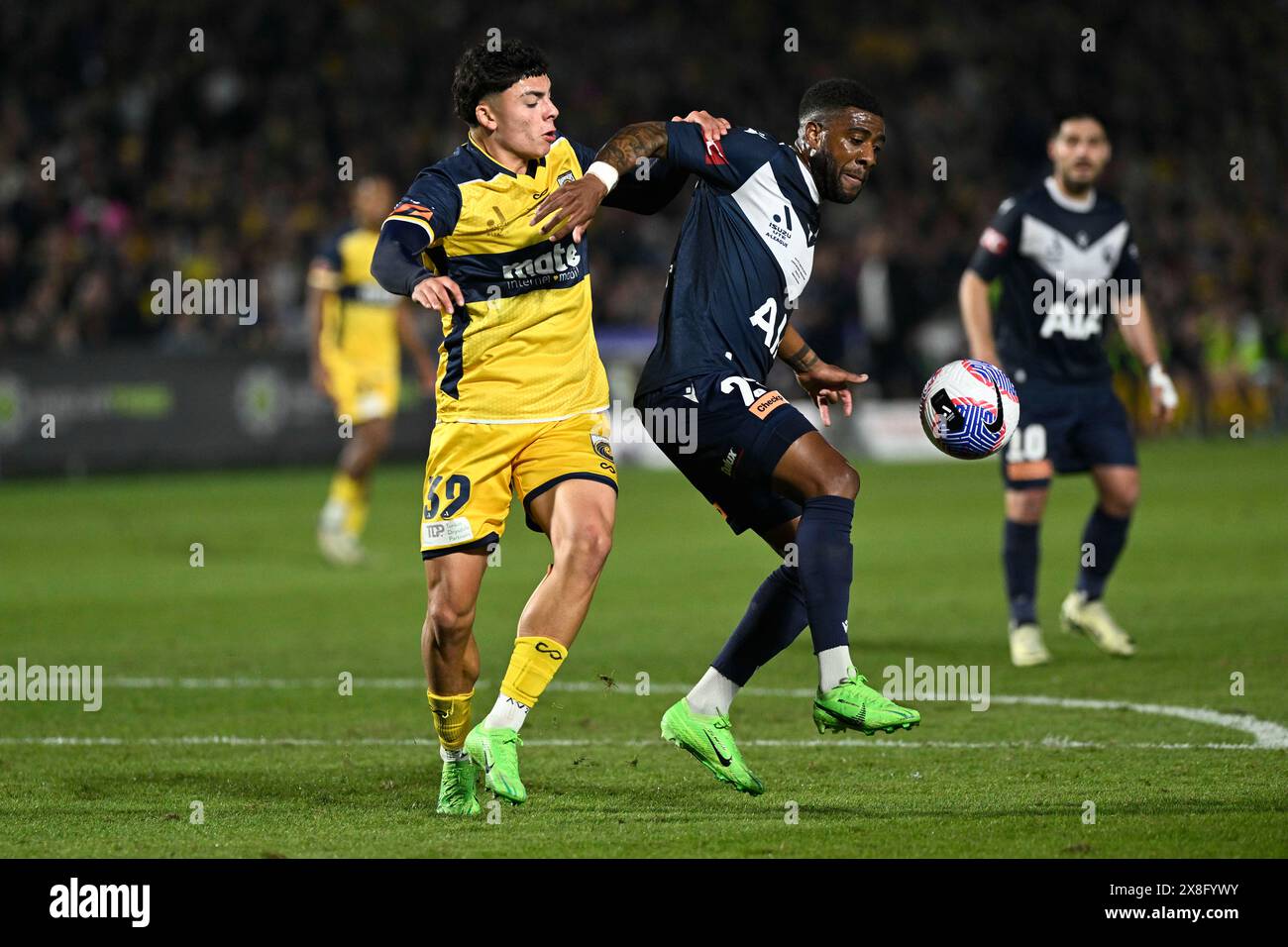 Roly bonevacia melbourne hi-res stock photography and images - Alamy