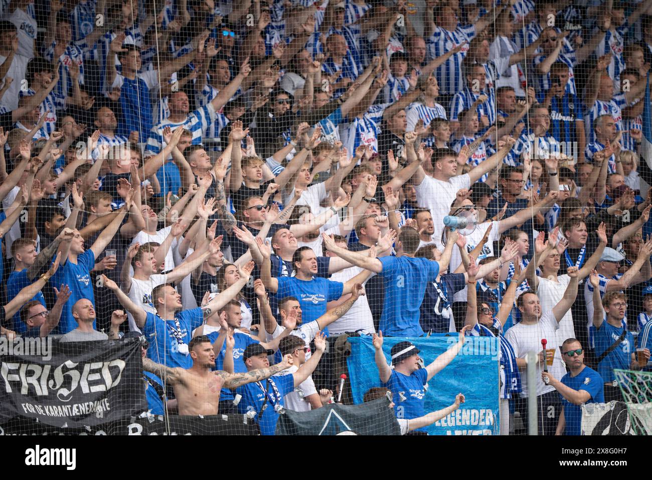 Viborg, Denmark. 25th May, 2024. OB's fans are involved in the ...