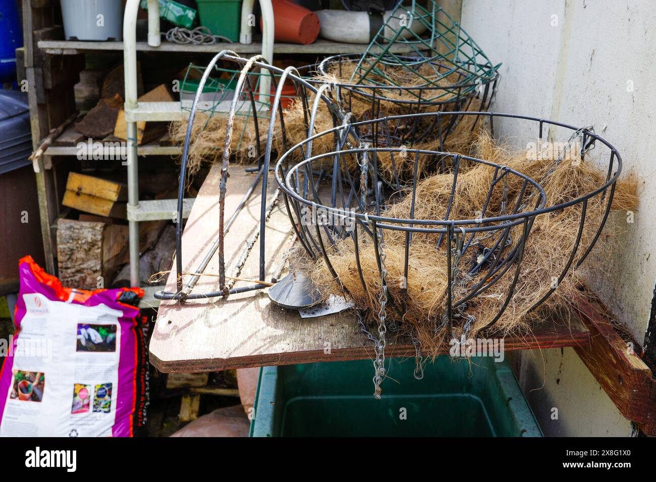 Wire hanging baskets with coconut coir on wooden shelf in garden a shed ...