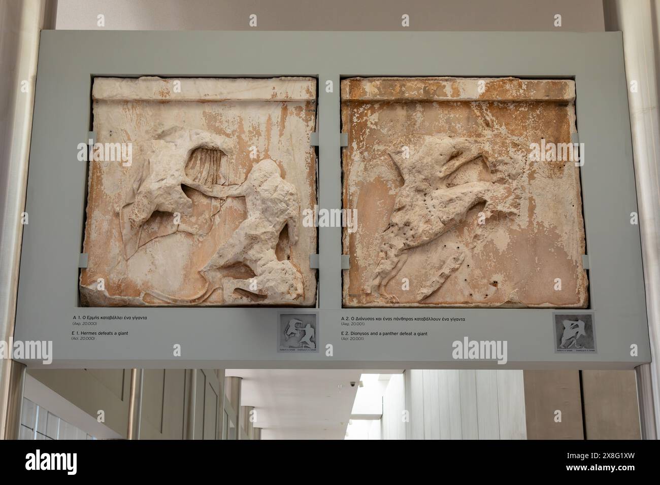Parthenon Metopes at The Acropolis Museum, Athens, Greece, Europe Stock Photo - Alamy