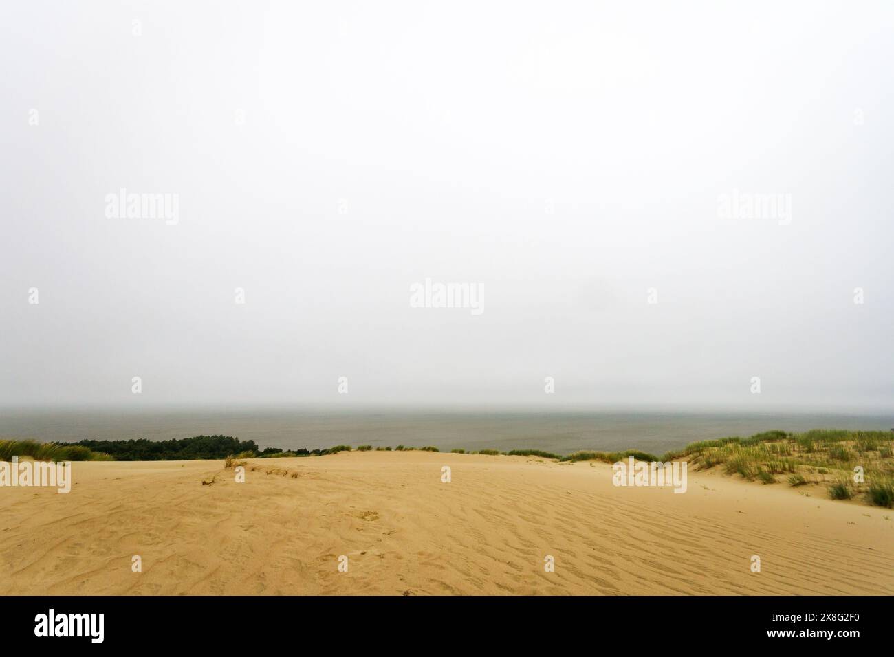 A view of dunes and Curonian Lagoon in Lithuania Stock Photo - Alamy