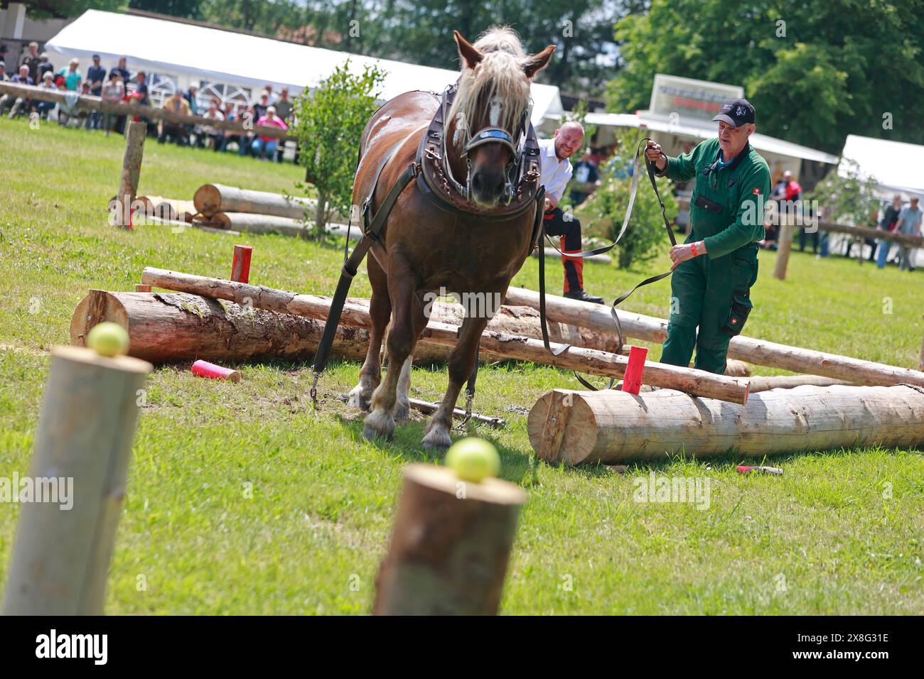 Pulling over logs hi-res stock photography and images - Alamy
