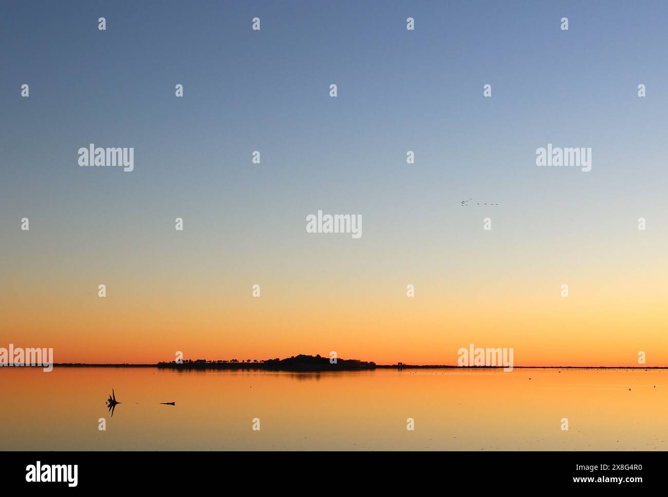 Cathedral like space hi-res stock photography and images - Alamy