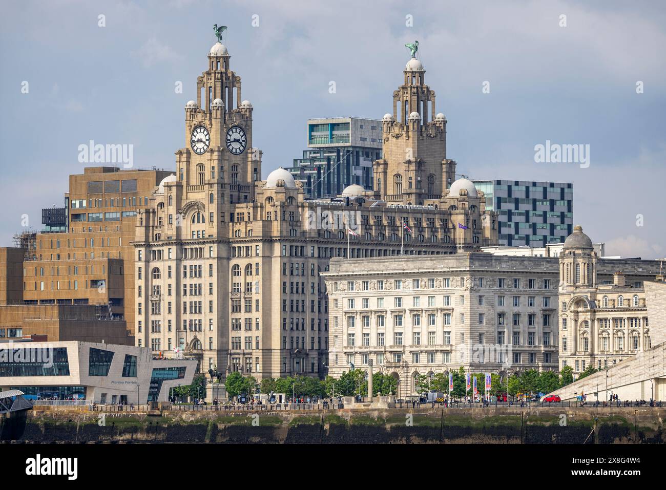 The Royal Liver Building and The Cunard Building seen from the River ...