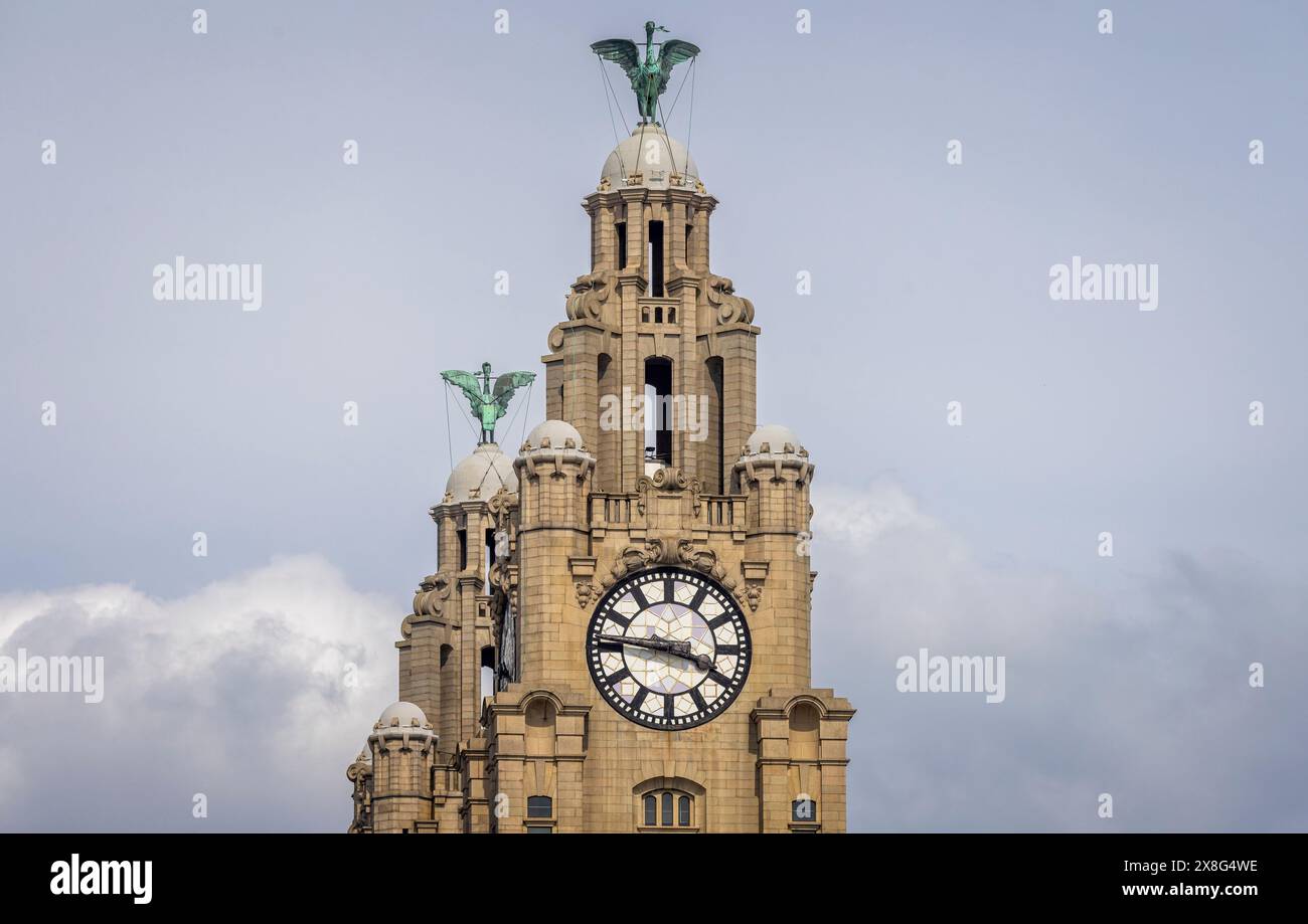 Close up of the two Liver Birds and clock face on top of The Royal ...