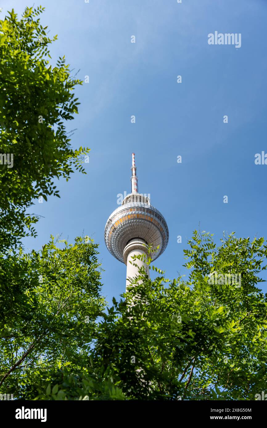 A tall tower with a green tree in front of it. The sky is blue and ...