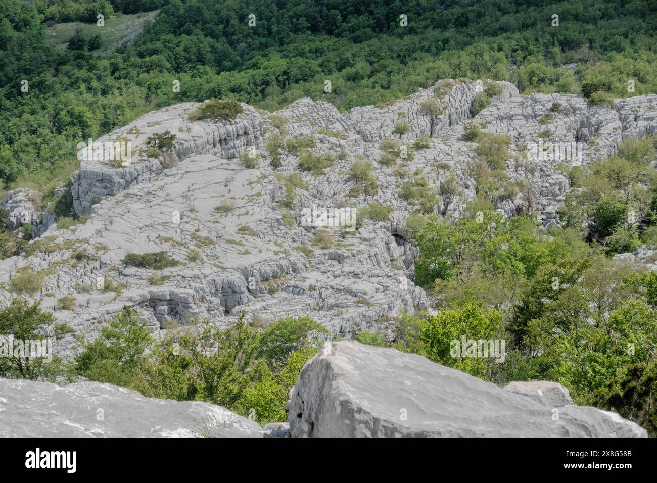 Limestone fissures below Subra peak, Orjen Mountains, Herceg Novi ...