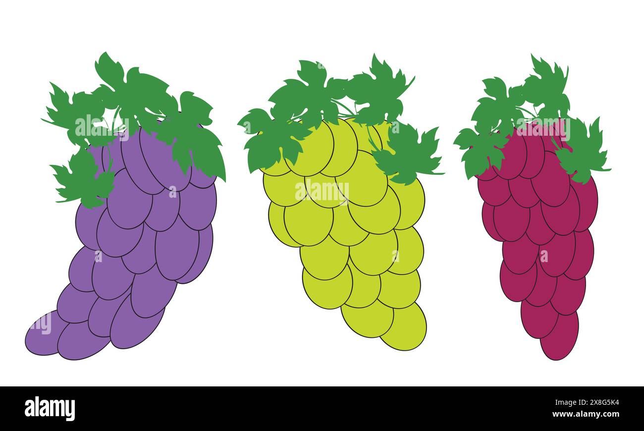 Vector grape illustration bunch wine hi-res stock photography and ...