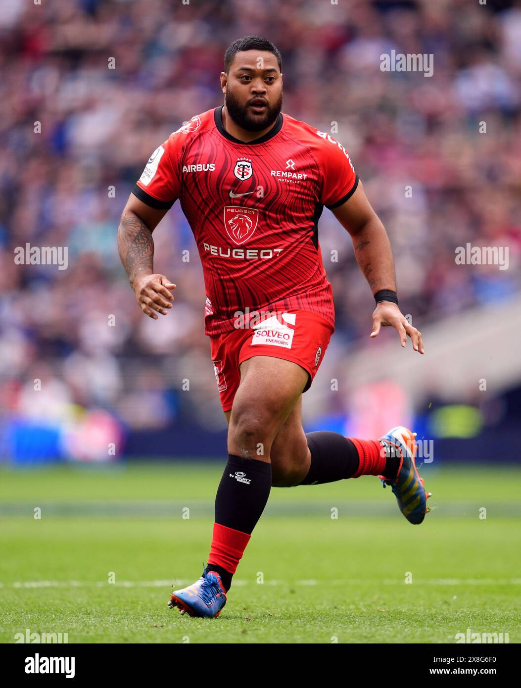 2024 investec champions cup final hi-res stock photography and images ...