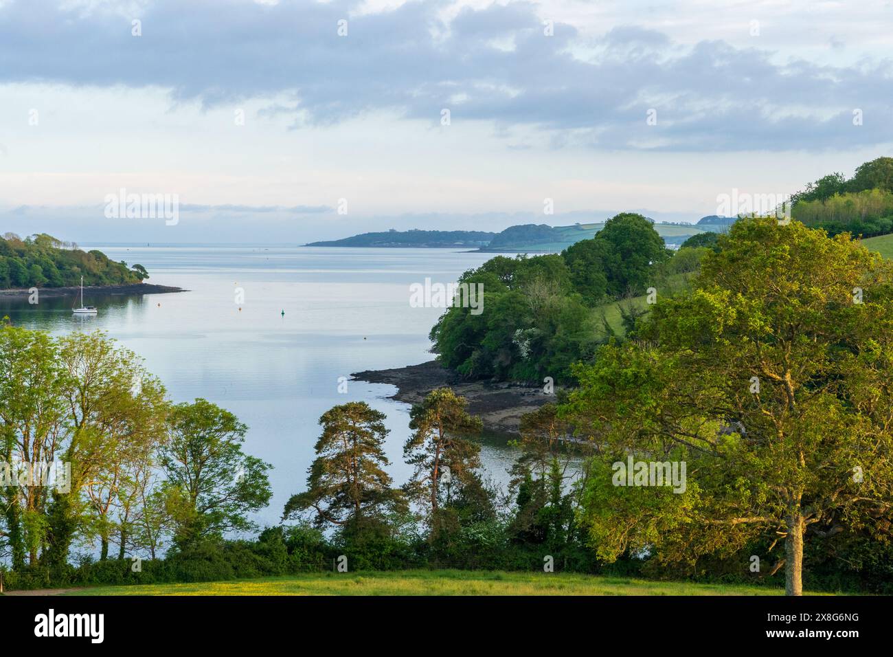 View of the Fal estuary from Trelissick Garden, Feock, Cornwall Stock ...