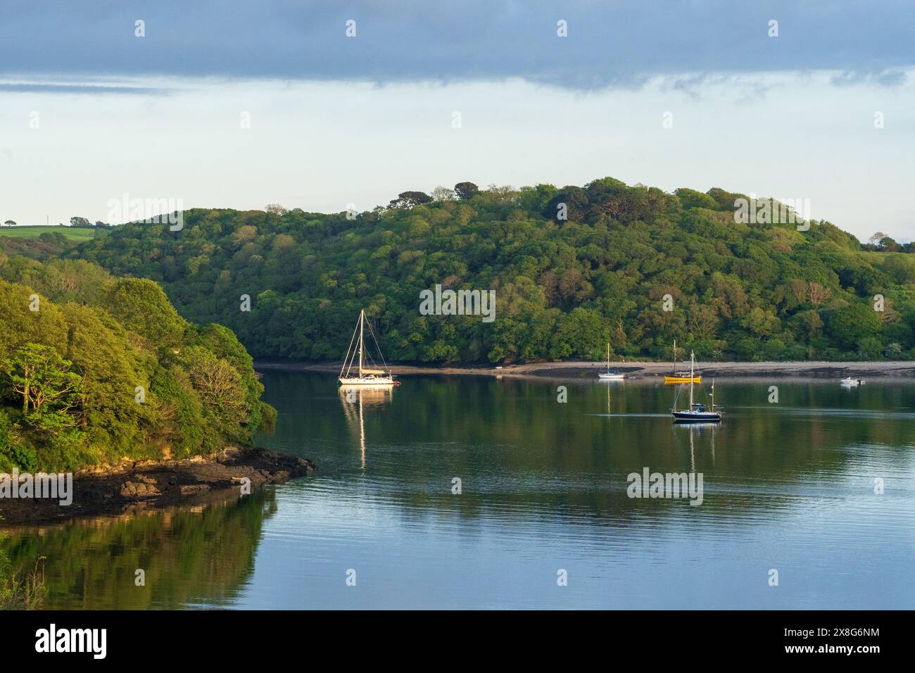 View of the Fal estuary from Trelissick Garden, Feock, Cornwall Stock ...