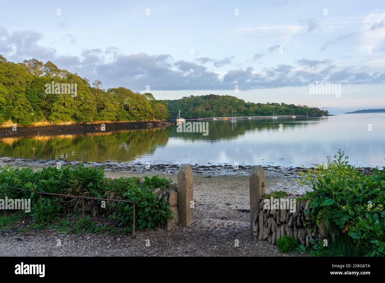 View of the Fal estuary from Trelissick Garden, Feock, Cornwall Stock ...