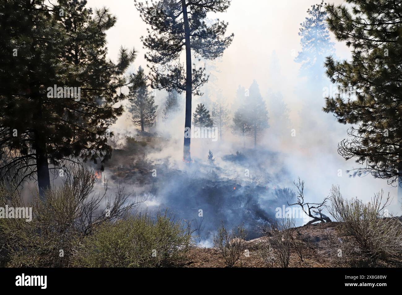Controlled fire burn hi-res stock photography and images - Alamy