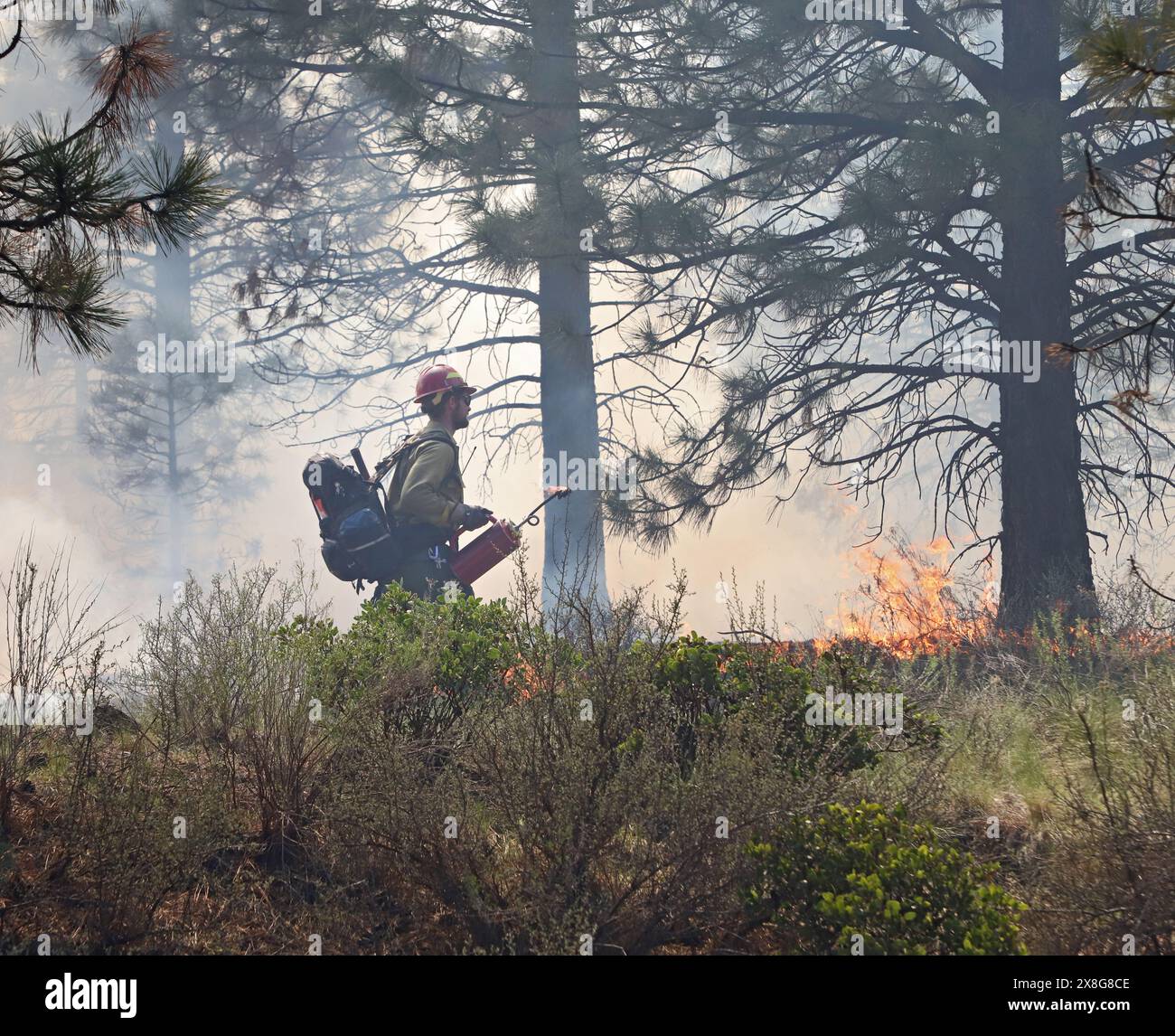 U s forest service controlled burn hi-res stock photography and images ...