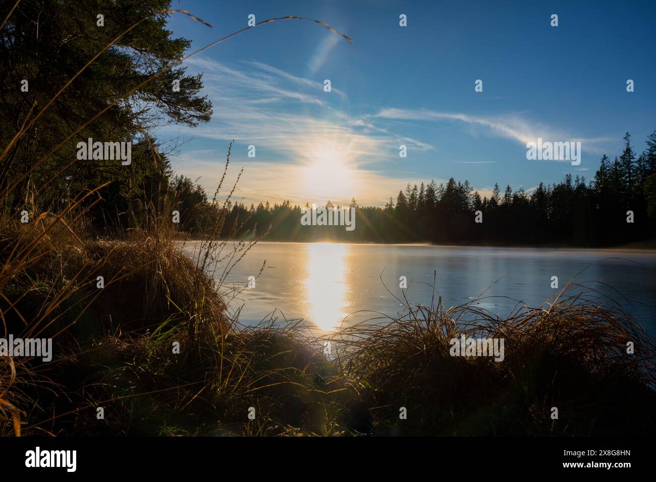 moor, swamp, lake, lakeside, mystic, landscape, nature, wallpaper Stock ...