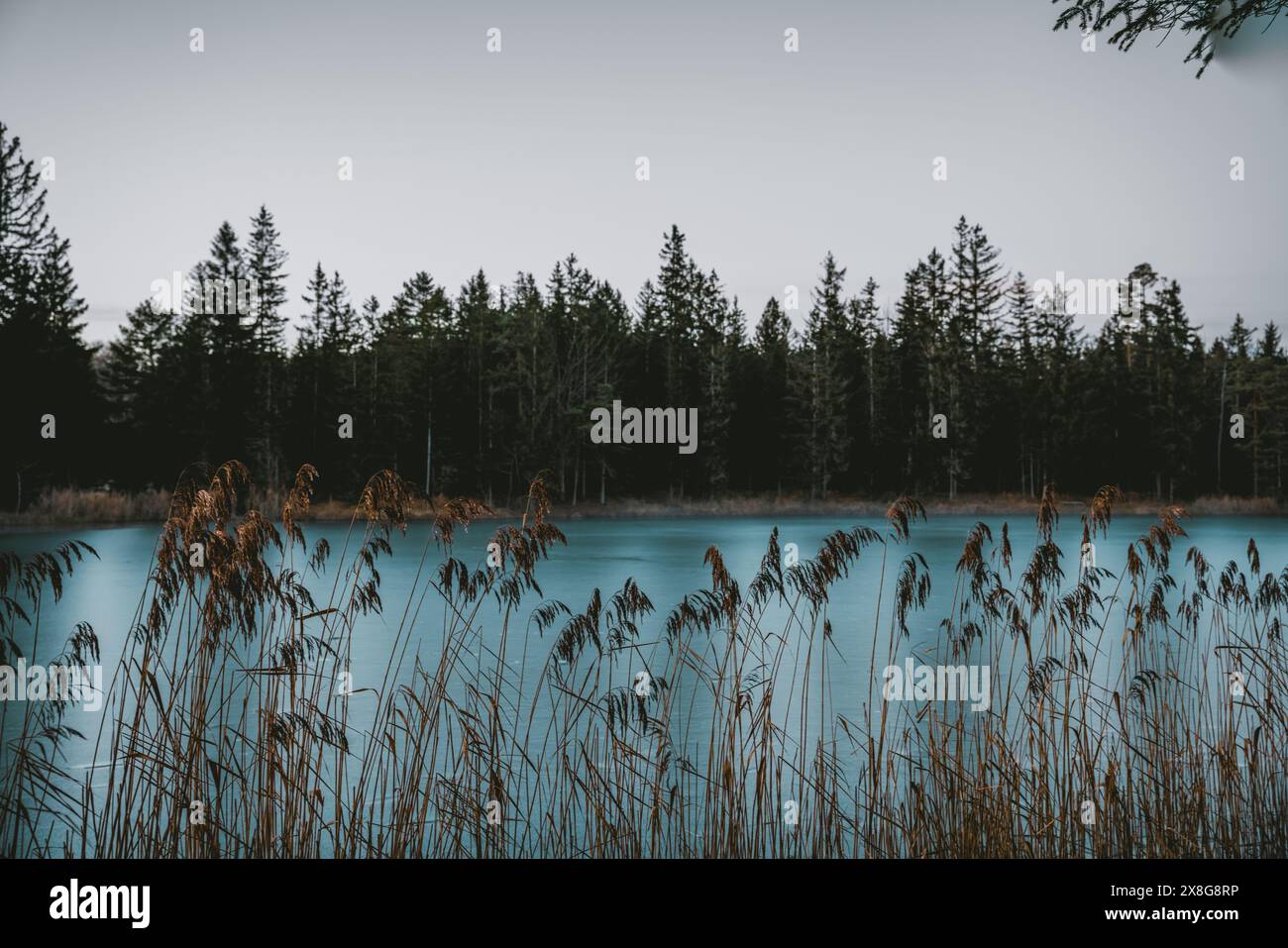 moor, swamp, lake, lakeside, mystic, landscape, nature, wallpaper Stock ...