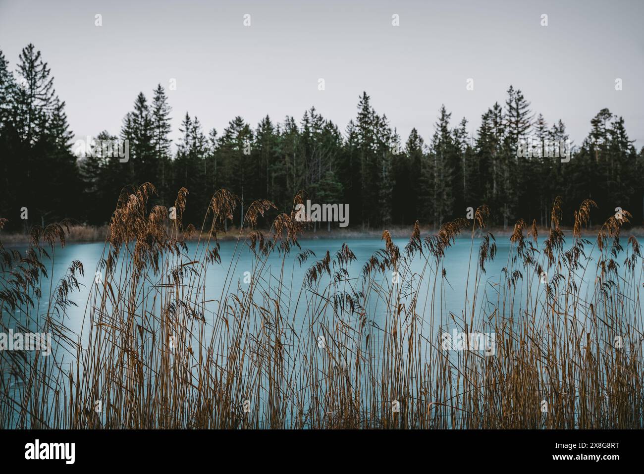 moor, swamp, lake, lakeside, mystic, landscape, nature, wallpaper Stock ...