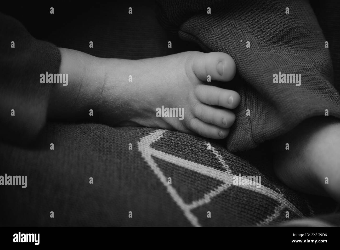 baby, feet, baby feet, baby photography, love, cute, sweet, little toes ...