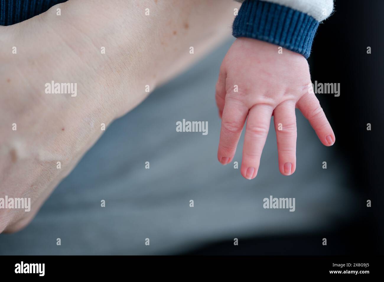 baby, hand, baby hand, baby photography, love, cute, sweet, little ...