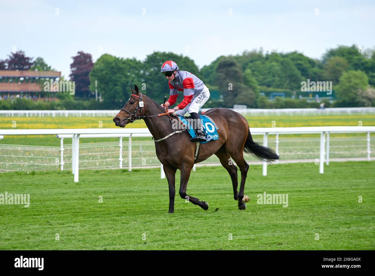 Adam farragher hi-res stock photography and images - Alamy