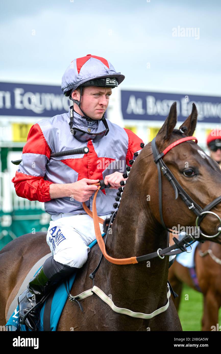 Bajan bandit hi-res stock photography and images - Alamy